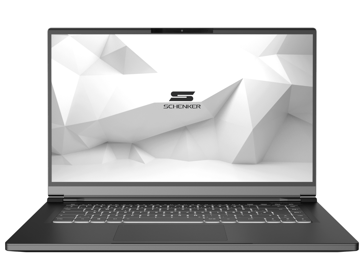 Test du Schenker VIA 15 (Ryzen 5, Vega 8, FHD) : PC portable AMD léger ...
